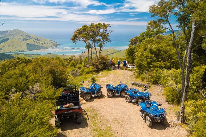 Quad Bike - Bayview Circuit - What You Can Expect from the Tour