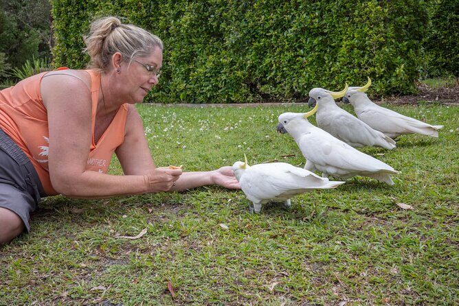 Quad Biking, Koalas and Kangaroos - Private Tour - The Sum Up