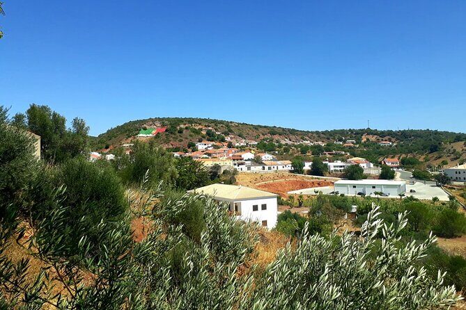 Quad Biking Sightseeing Tour in Albufeira - Key Points