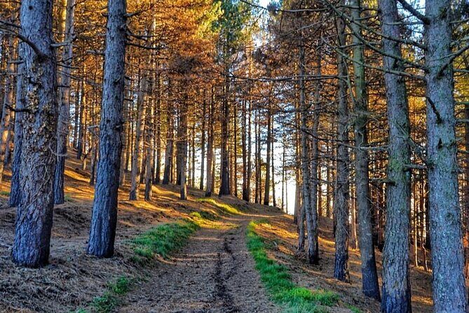 Quad Buggy Excursion Tour - Frequently Asked Questions