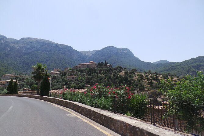 Quad day tour from Paguera - FAQ