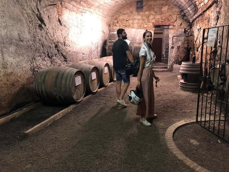Quad & E-Bike - Monferrato Hills - Unesco Cellars Tour - Key Points