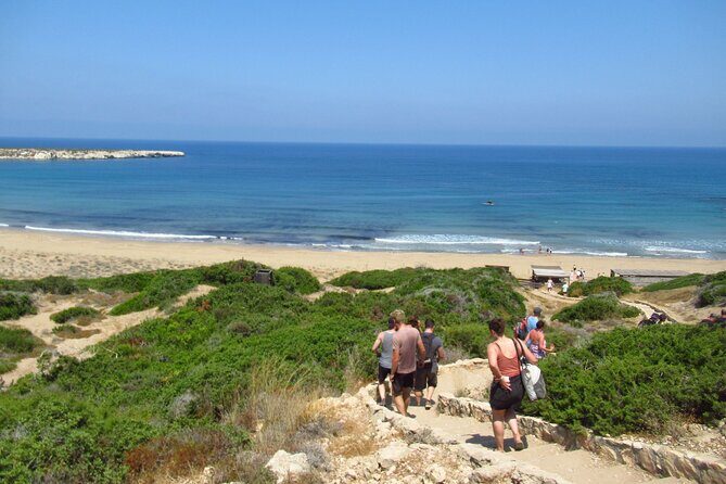 Quad or Buggy Tour from Coral Bay to Akamas Forest - The Sum Up: Is This Tour Right for You?