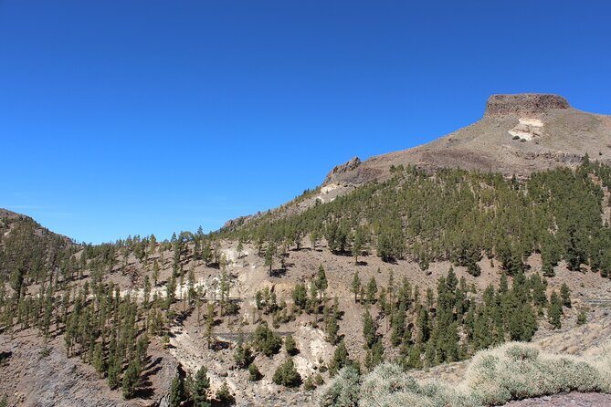 Quad Tour to the Teide National Park (3.5H) - The Sum Up