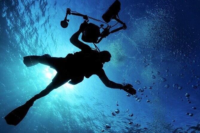 Qualified Diver 1 Tank Dive in Mykonos - An Authentic Underwater Experience in Mykonos