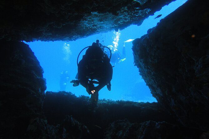 Qualified Diver 1 Tank Dive in Mykonos - Authenticity and Review Highlights