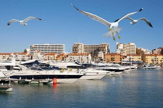 Quarteira Town & Gypsy Market Tour with Beach Bliss - An Authentic Day in Quarteira: What to Expect from the Tour