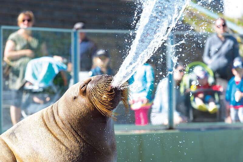 Quebec: Aquarium du Quebec Entry Ticket - Key Points