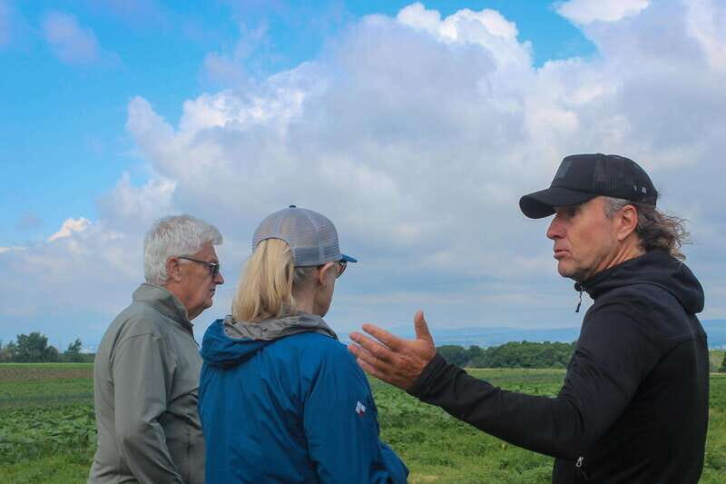 Quebec City - Agricultural Walking Tour on Ile d'Orléans - Introduction