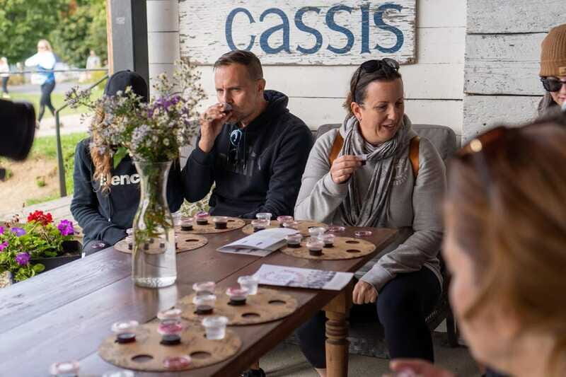 Quebec City - E-Tandem Rental on Ile d'Orléans - Who Should Consider This Tour?