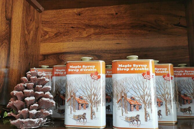 Quebec City - E-Tandem Rental on Ile d'Orléans - The Sum Up