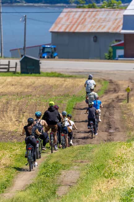 Quebec City: Electric Bike Rental on Ile d'Orléans - Who Will Love This Tour?