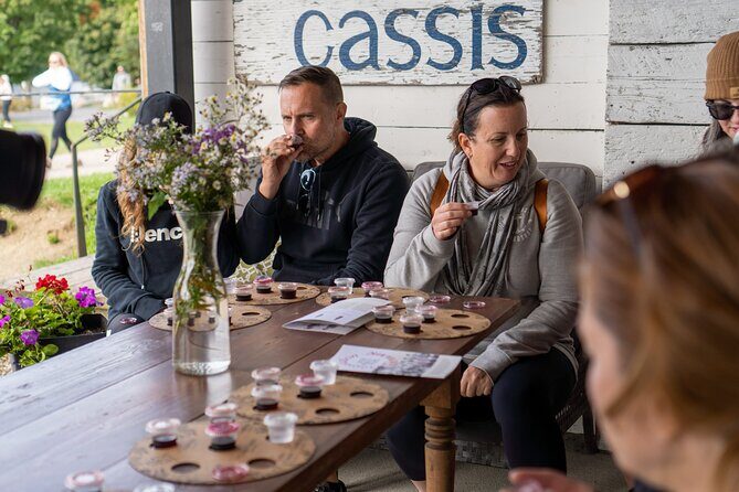 Quebec City - Guided E-Bike Tour & Tastings - Ile d'Orléans - Practical Tips for Your Tour