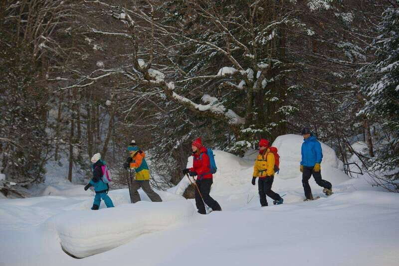 Quebec City: Jacques-Cartier National Park Snowshoeing Tour - Authentic Experiences from Fellow Travelers