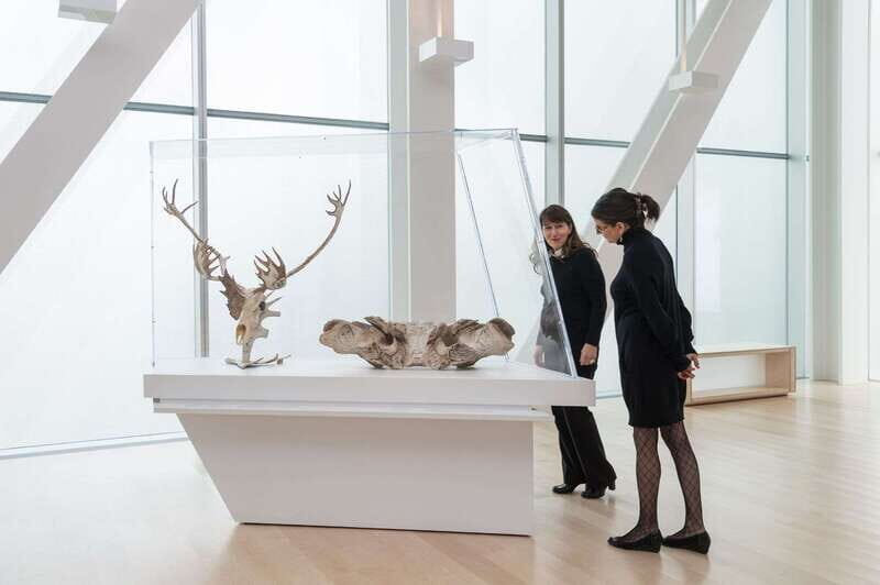 Quebec City: MNBAQ National Fine Arts Museum Entry Ticket - An In-Depth Look at the Museum Experience