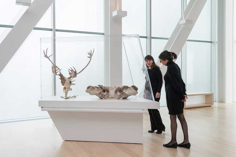 Quebec City: MNBAQ National Fine Arts Museum Entry Ticket - FAQ