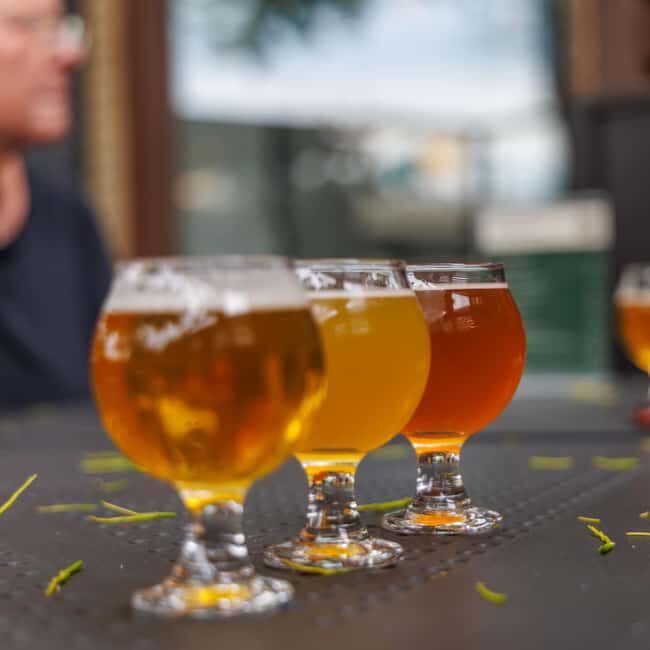 Quebec City: Montmorency Falls and Microbrewery eBike Tour - Key Points