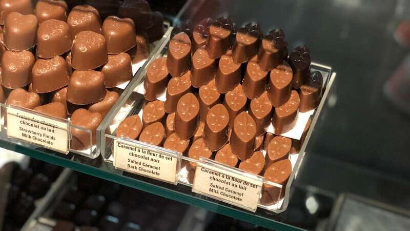 Quebec City - Regular Bike Rental on Ile d'Orléans - Local Tastings and Scenic Stops