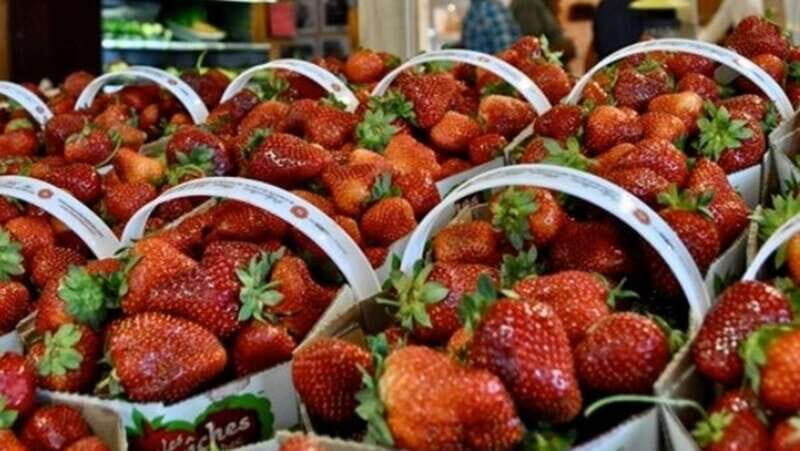 Quebec City - Regular Bike Rental on Ile d'Orléans - FAQ