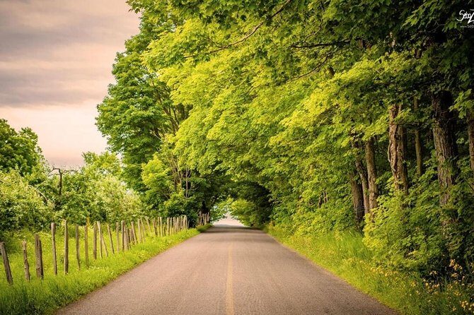 Quebec City - Regular Bike Rental on Ile d'Orléans - Why Choose This Bike Rental Experience?