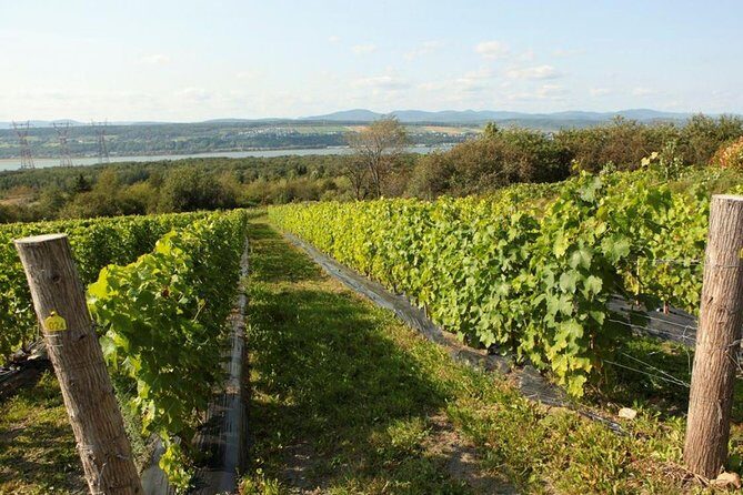 Quebec City - Tandem Bike Rental on Ile d'Orléans - Who Will Love This Tour?