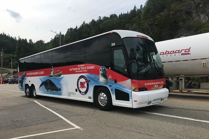 Québec City: Whale Watching Tour with Bus Transportation - Who Is This Tour Best For?