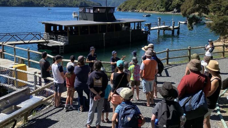 Queen Charlotte Sound: Lochmara Cruise & Explore 9-2.45 - Considerations and Practical Tips