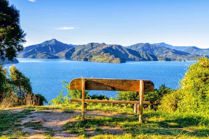 Queen Charlotte Track: Cruise & Self-Guided Hike from Picton - An In-Depth Look at the Queen Charlotte Track Experience
