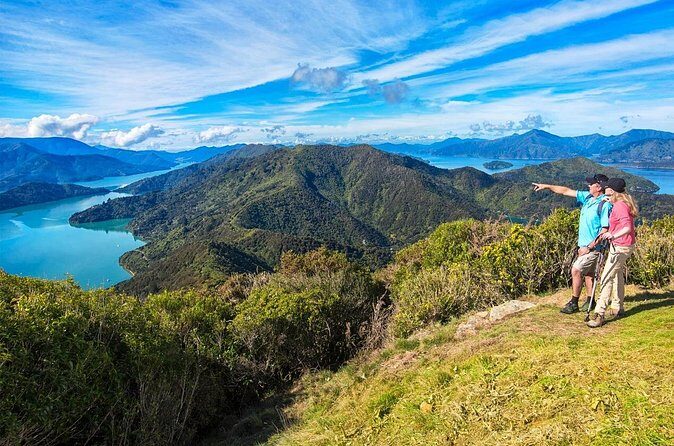 Queen Charlotte Track Self Guided Hike to Eatwells Lookout - Who Is This Tour Best For?