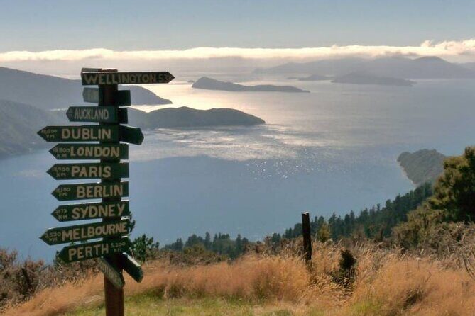 Queen Charlotte Track Self Guided Hike to Eatwells Lookout - The Sum Up