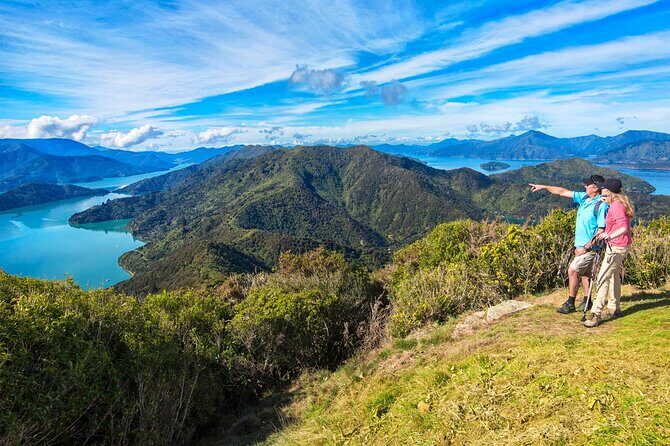Queen Charlotte Track Self Guided Hike to Eatwells Lookout - FAQ