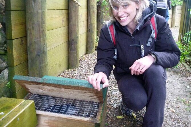 Queen Charlotte Track - Ultimate one Day Walk and Cruise - Who Will Love This Experience?