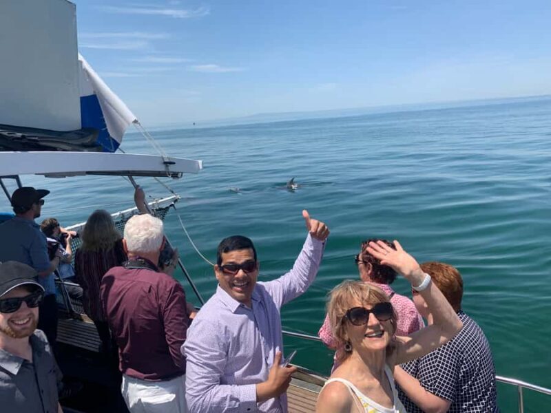 Queenscliff: 1.5hr Harbour Wildlife Sightseeing Cruise Tour - The Practicalities