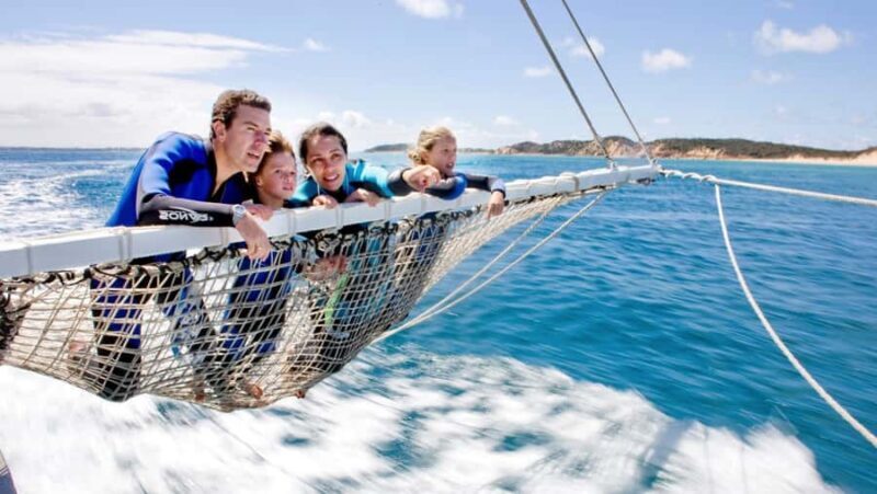 Queenscliff Harbour: 3.5hr Seal & Dolphin Snorkelling Tour - An In-Depth Look at the Tour Experience