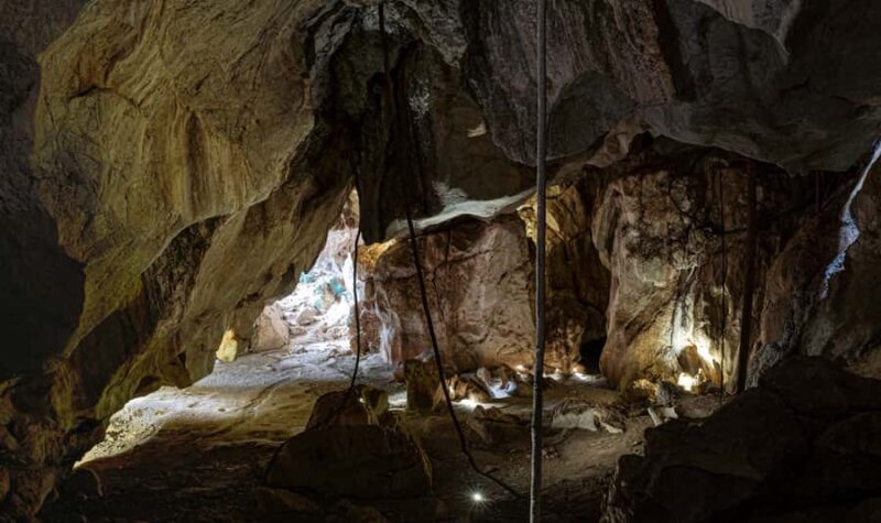 Queensland: 90 Minute Capricorn Caves Explorer Tour - Who Is This Tour Best For?