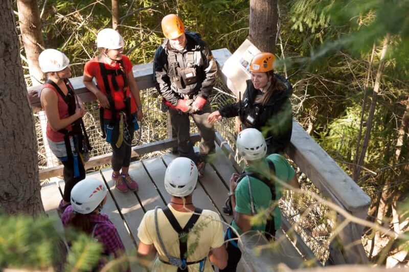 Queenstown: 3-Hour Zipline Adventure with 6-Lines - Key Points