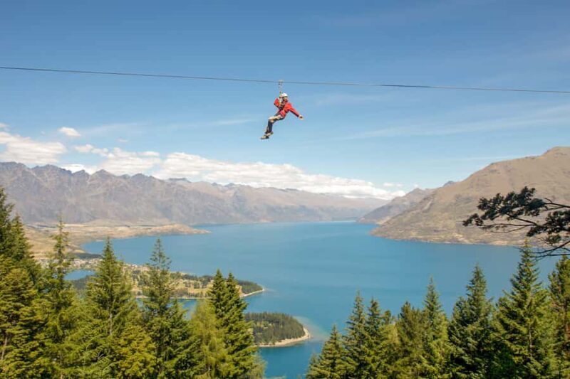 Queenstown: 3-Hour Zipline Adventure with 6-Lines - Duration and Practical Info
