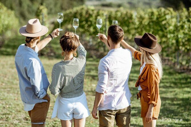 Queenstown Afternoon Wine Tour - Peregrine | Kinross | Amisfield - Queenstown Afternoon Wine Tour - Peregrine | Kinross | Amisfield: A Complete Guide