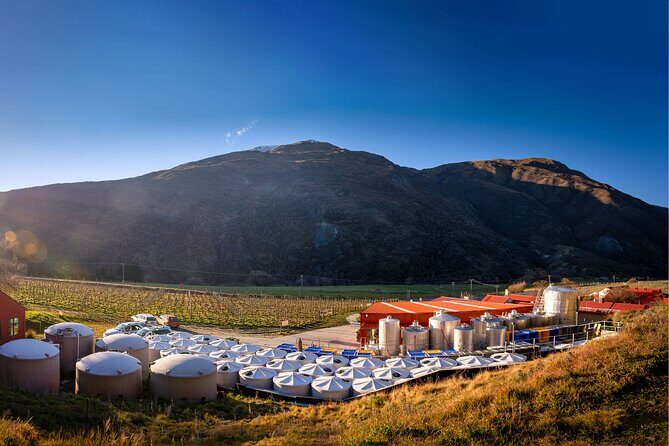 Queenstown Afternoon Wine Tour - Peregrine | Kinross | Amisfield - FAQ