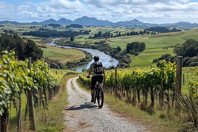 Queenstown Biking Wine Tour - Self-Guided Audio Tour - The Sum Up
