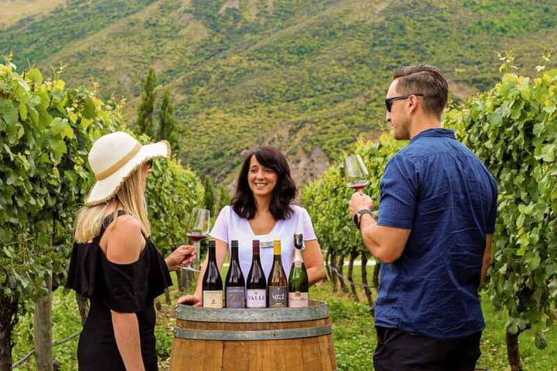 Queenstown: Classic Wine Tour - Key Points