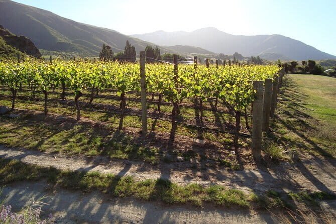 Queenstown Gin and Whiskey tours - Cancellation Policy