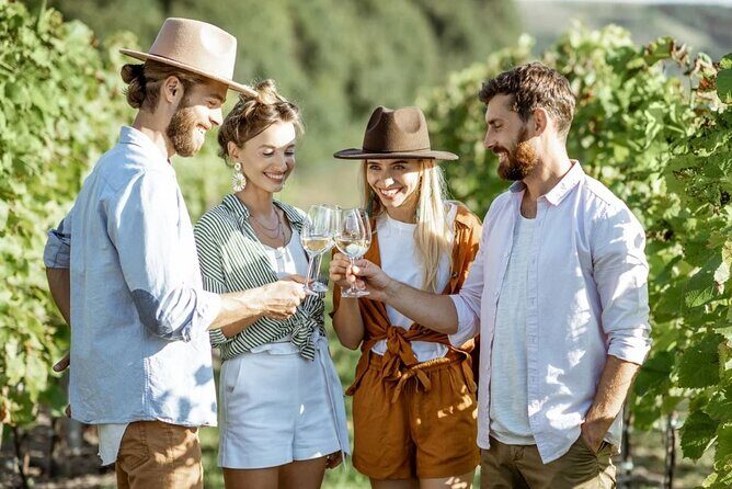 Queenstown Gin, Wine & Beer Tour | Adults Only - Analyzing the Value and Cost