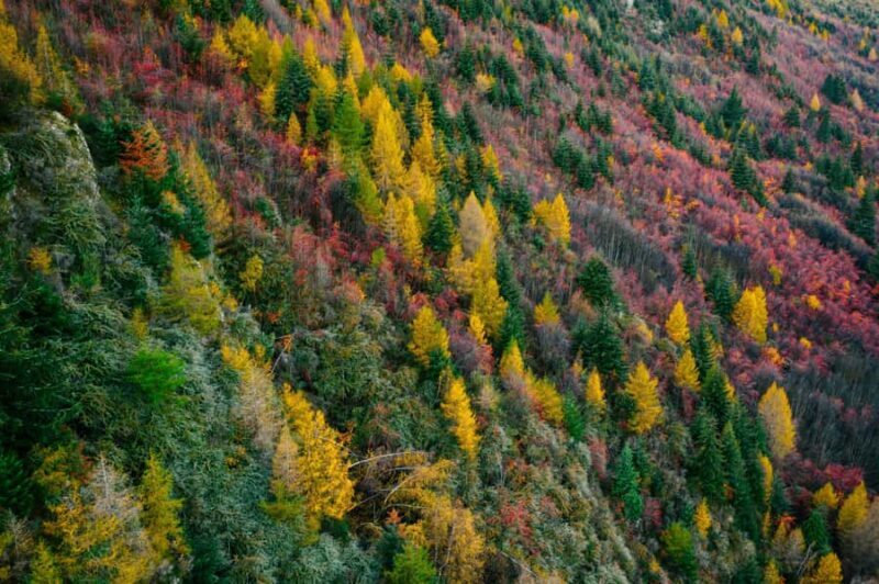 Queenstown: Glenorchy, Arrowtown, & Crown Range Tour - The Sum Up