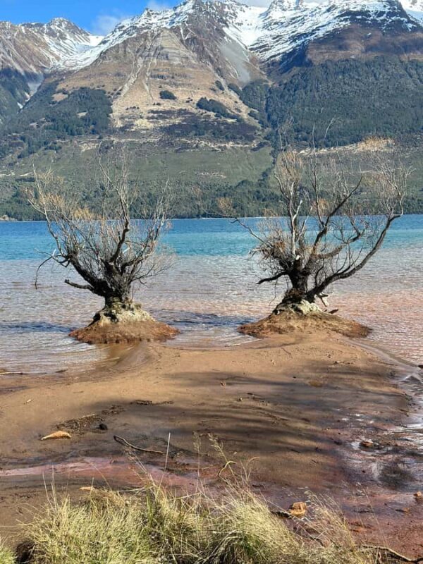 Queenstown: Glenorchy Private Tour with Hotel Pickup - Why This Tour Stands Out