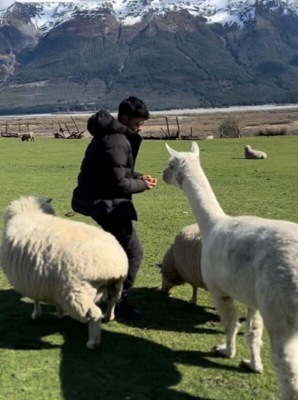 Queenstown: Glenorchy Private Tour with Hotel Pickup - Pricing and Value