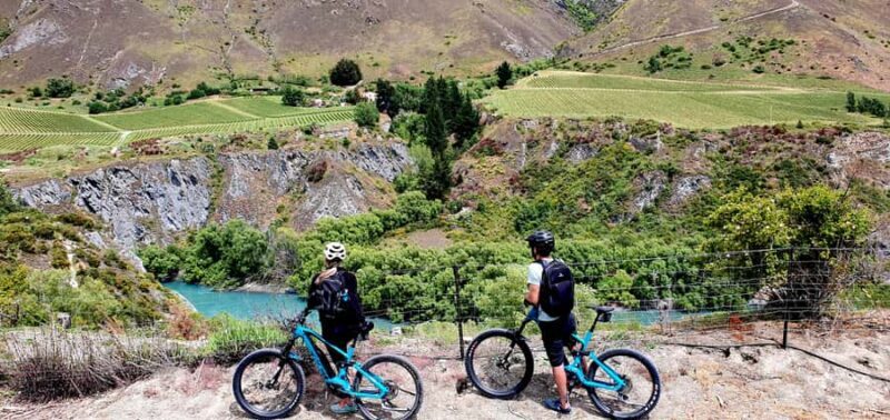 Queenstown: Guided E-Bike Tour with Winery Visits & Tastings - Key Points