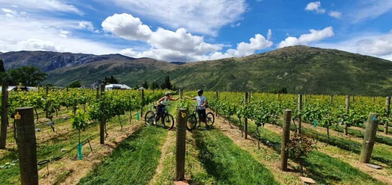 Queenstown: Guided E-Bike Tour with Winery Visits & Tastings - Exploring Queenstown on Two Wheels