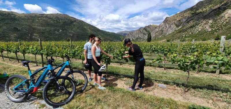 Queenstown: Guided E-Bike Tour with Winery Visits & Tastings - The Experience: Details That Matter
