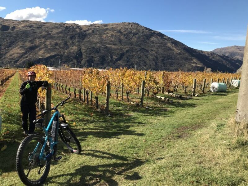 Queenstown: Guided E-Bike Tour with Winery Visits & Tastings - Who Will Love This Tour?
